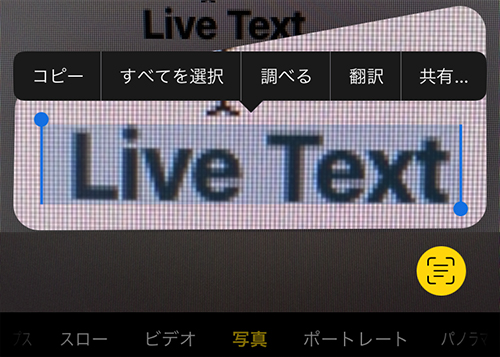 LiveText(文字認識/読み取り)ができない時の対処法 – iPhone/iPad