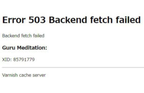 「Error 503 Backend fetch failed」エラーの意味と対処法
