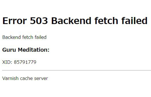 「Error 503 Backend fetch failed」エラーの意味と対処法